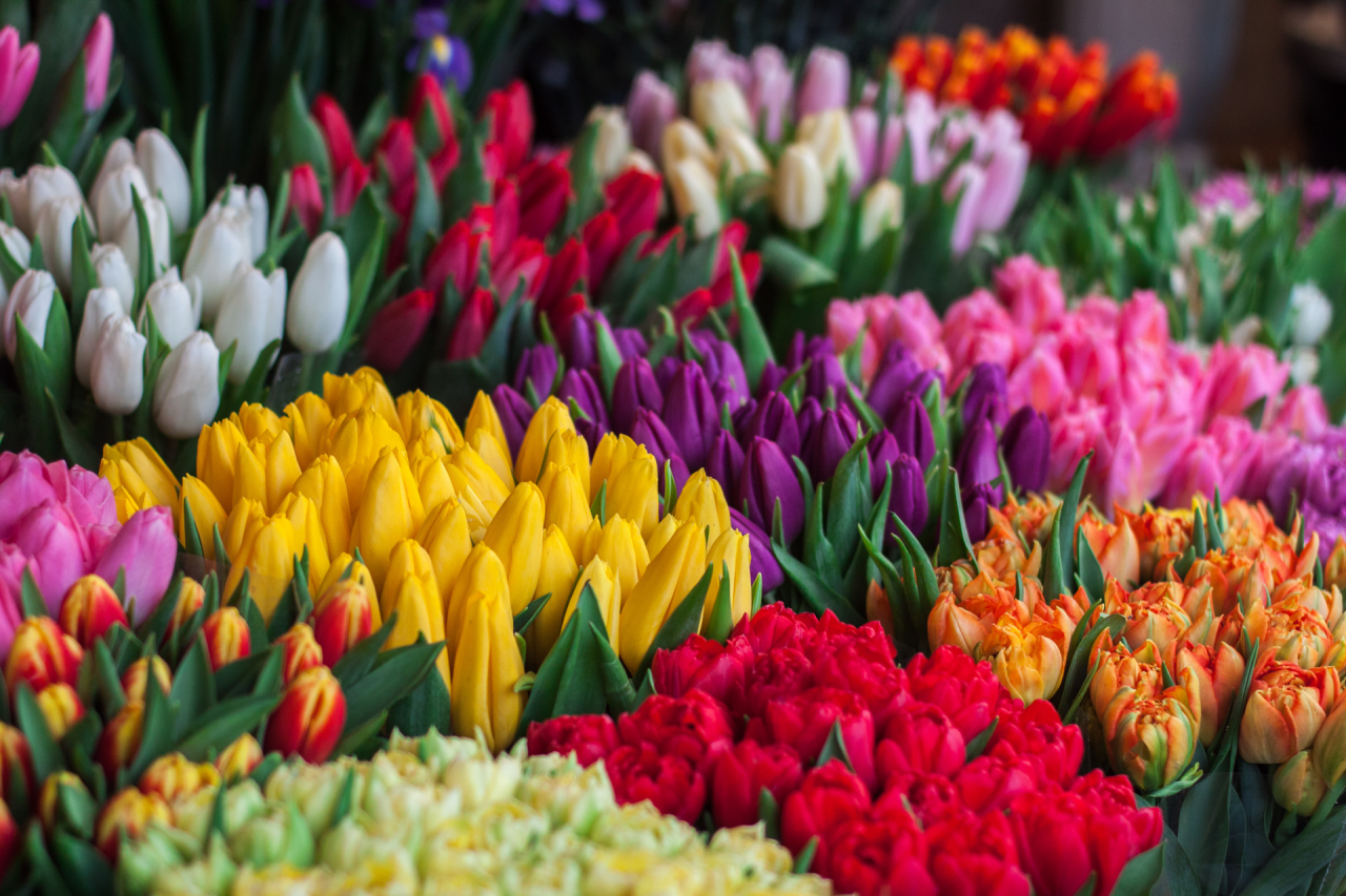 About | Hastings Flower Mart | Fresh Exotic Flowers in Barbados